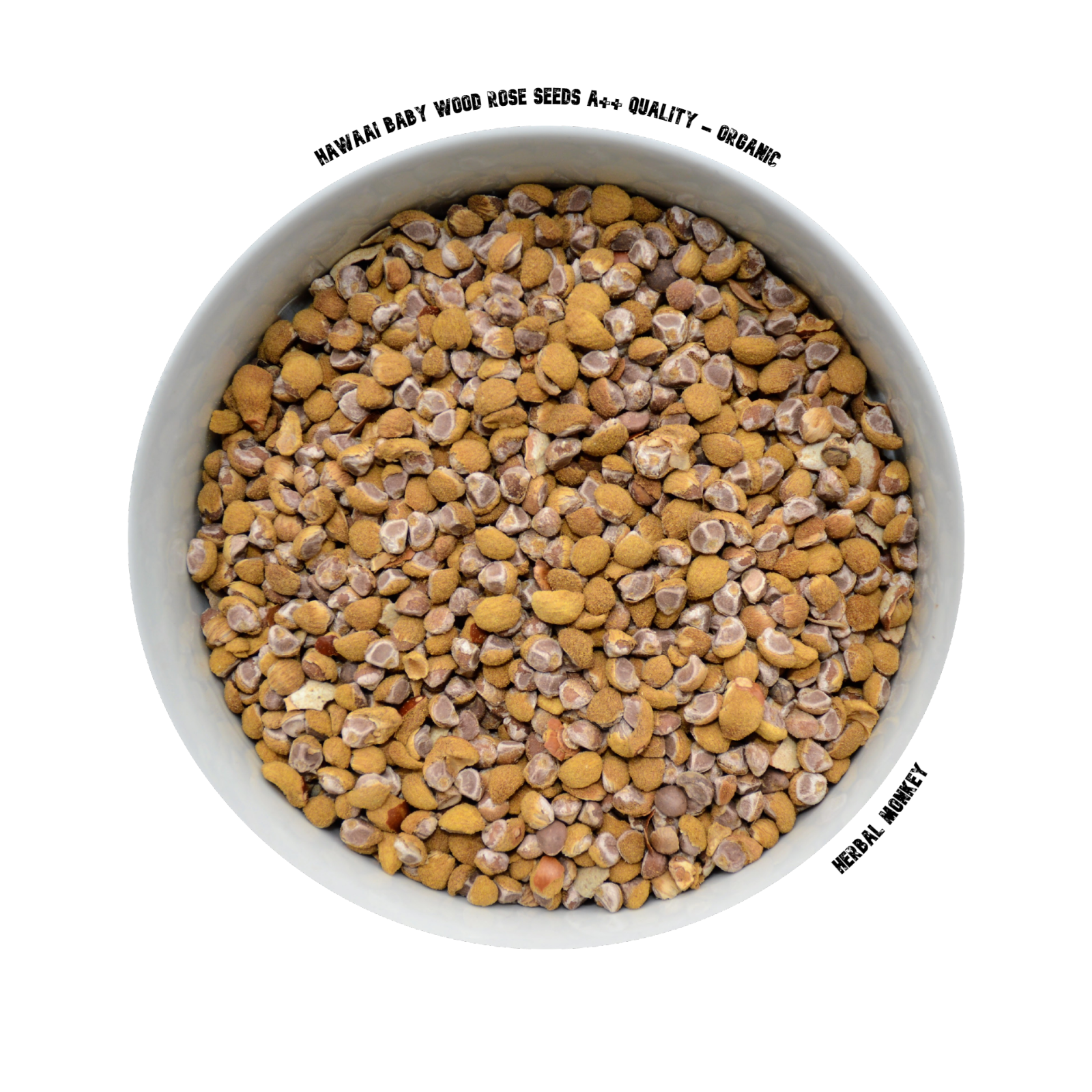Buy Hawaiian Baby Woodrose Seeds | Organic, Fresh & Untreated