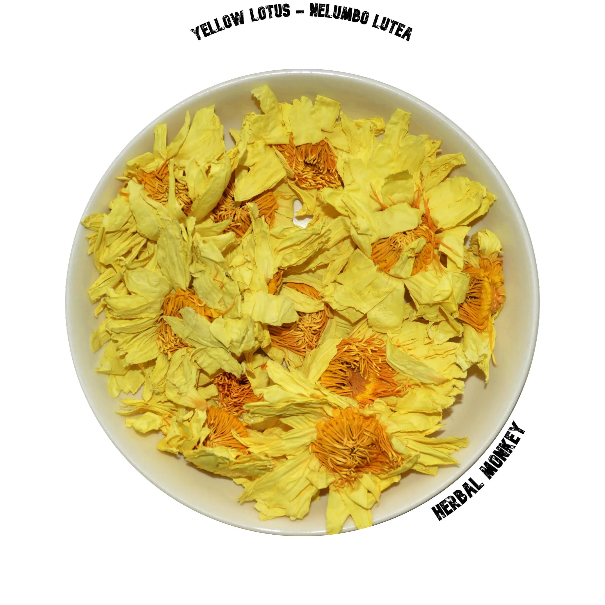Yellow Lotus Flowers for Ceremonial Clarity & Spiritual Renewal